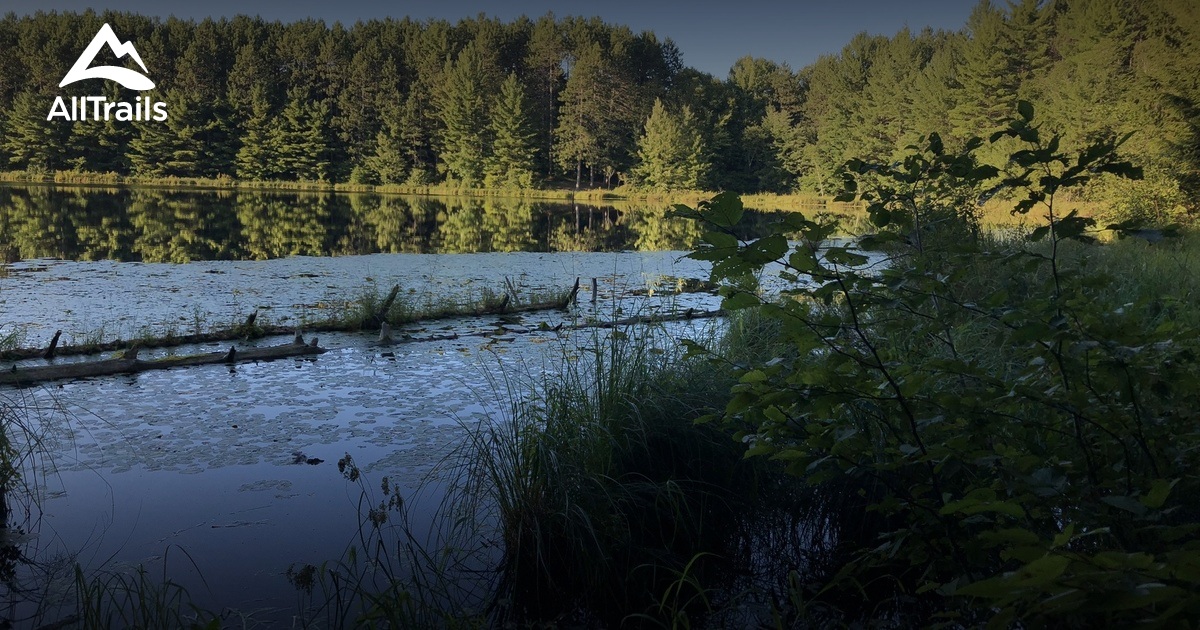 Best hikes and trails in Lublin | AllTrails