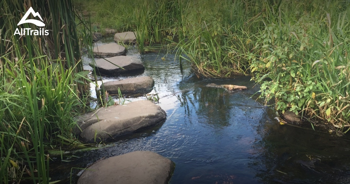 Best easy trails in Luck | AllTrails