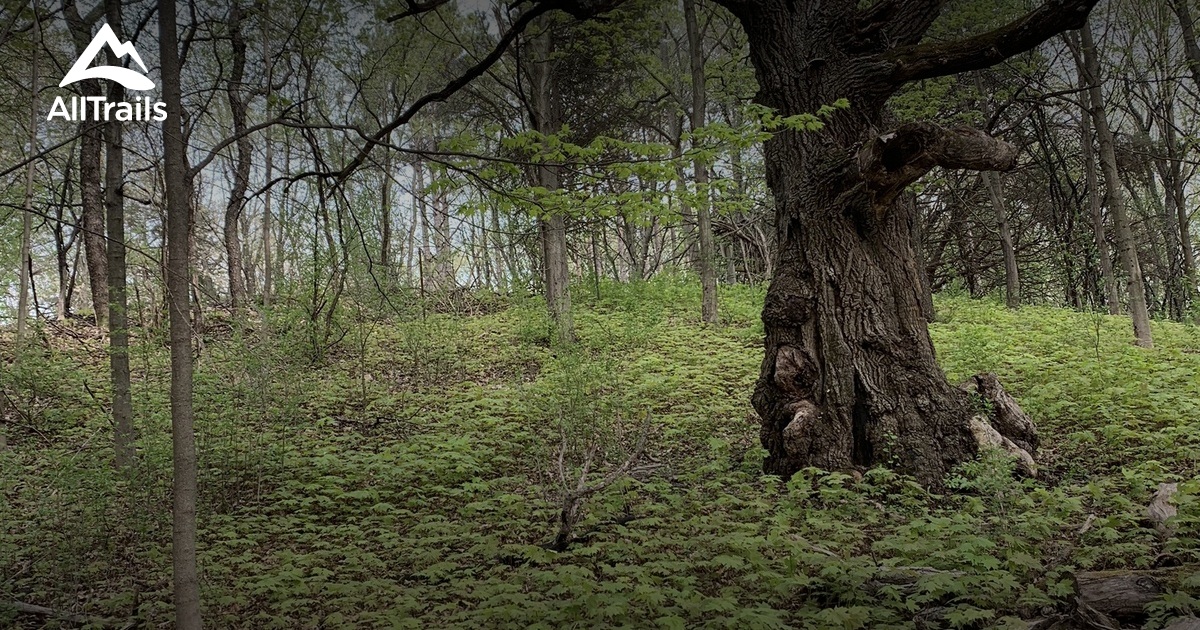 Best hikes and trails in Lyons | AllTrails