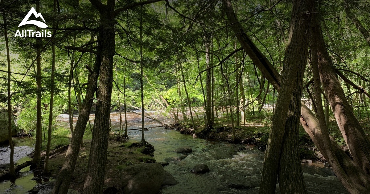 Best hikes and trails in Marion | AllTrails