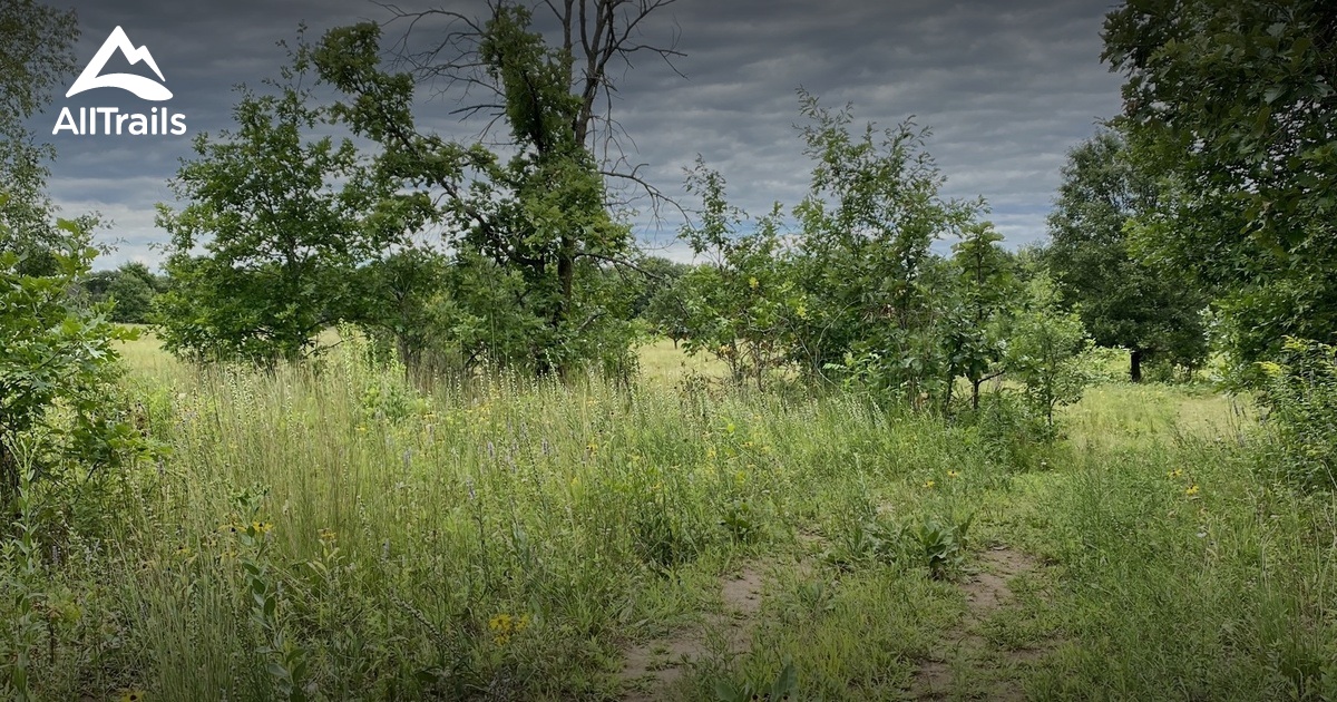Best hikes and trails in Osceola | AllTrails