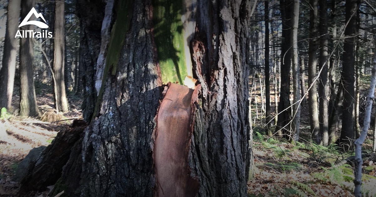 Best Kid Friendly Trails in Presque Isle | AllTrails