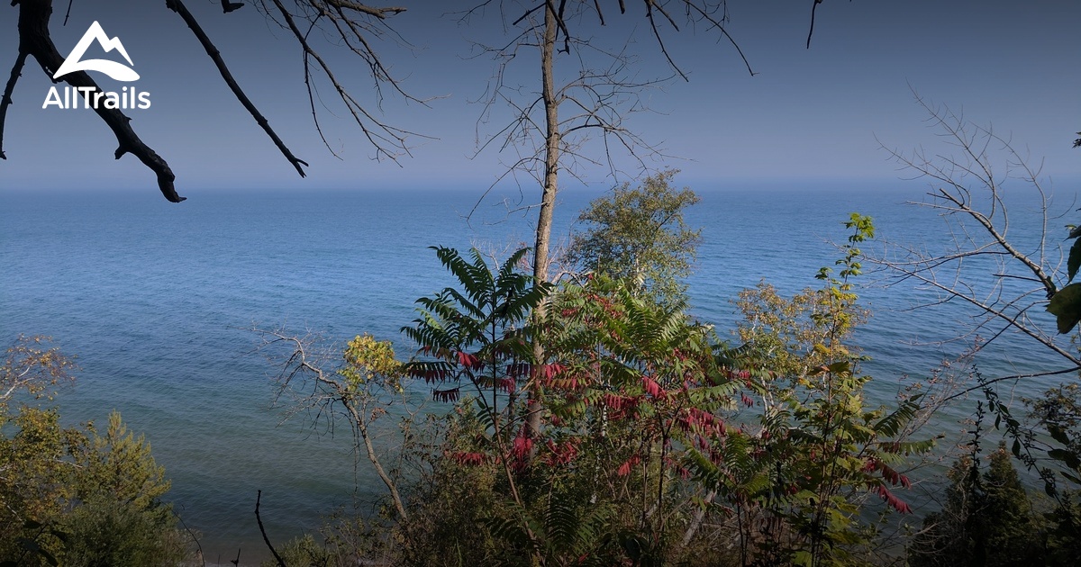 Best forest trails in South Milwaukee | AllTrails