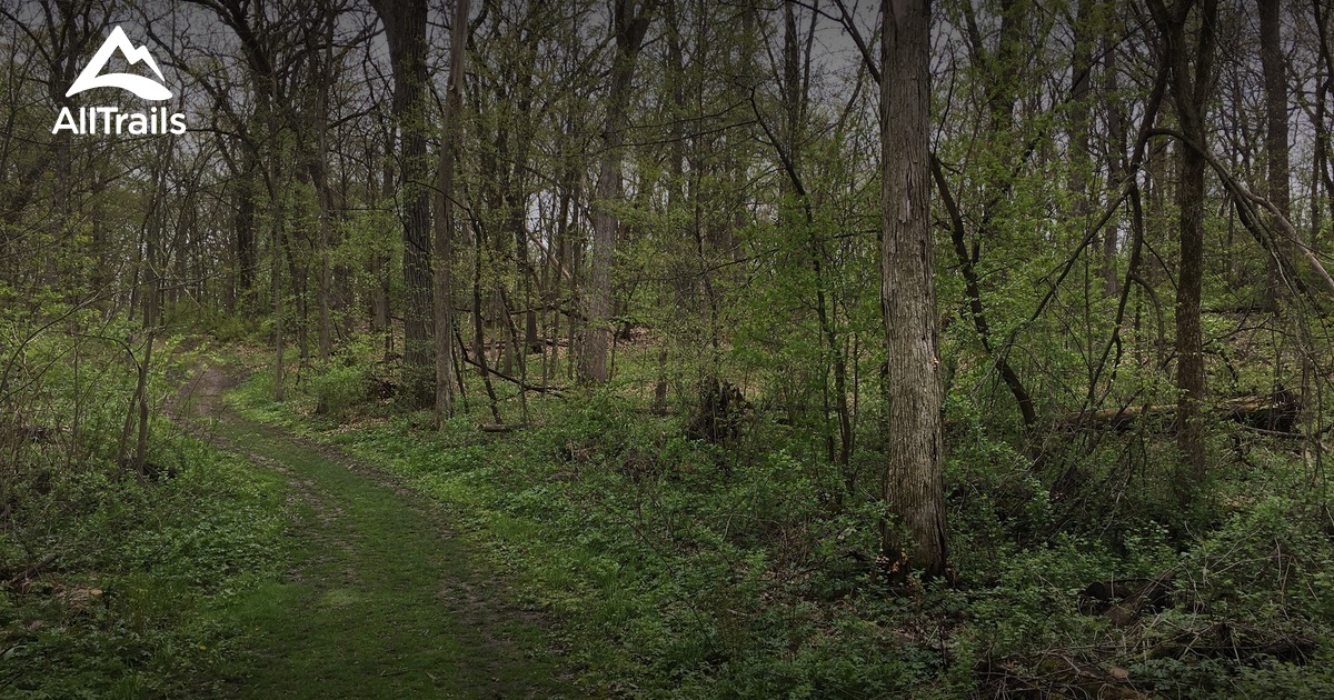 De beste routes langs het strand in Stoughton | AllTrails