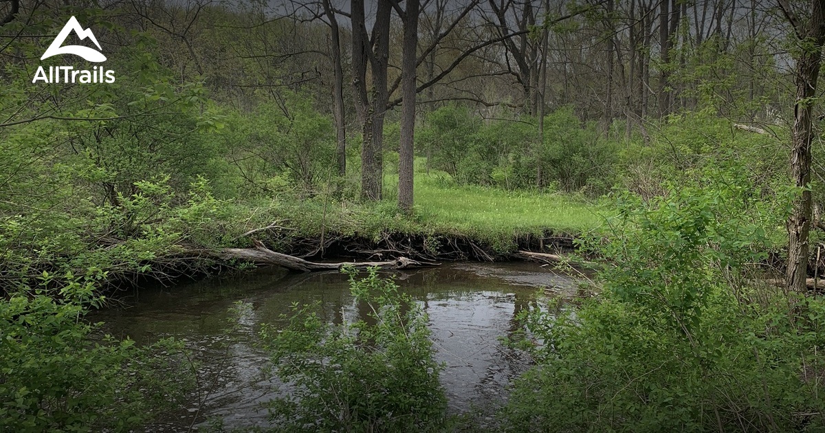 Best hikes and trails in Twin Lakes | AllTrails