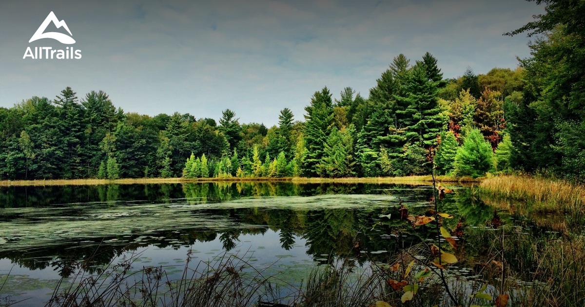 Best hikes and trails in Wabeno | AllTrails