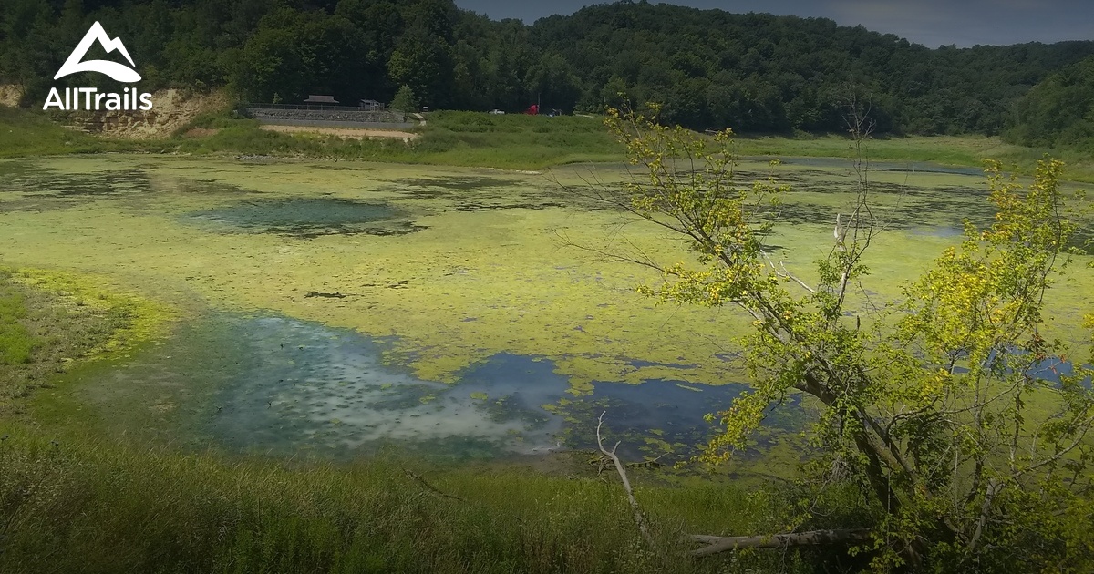 Best hikes and trails in Westby | AllTrails