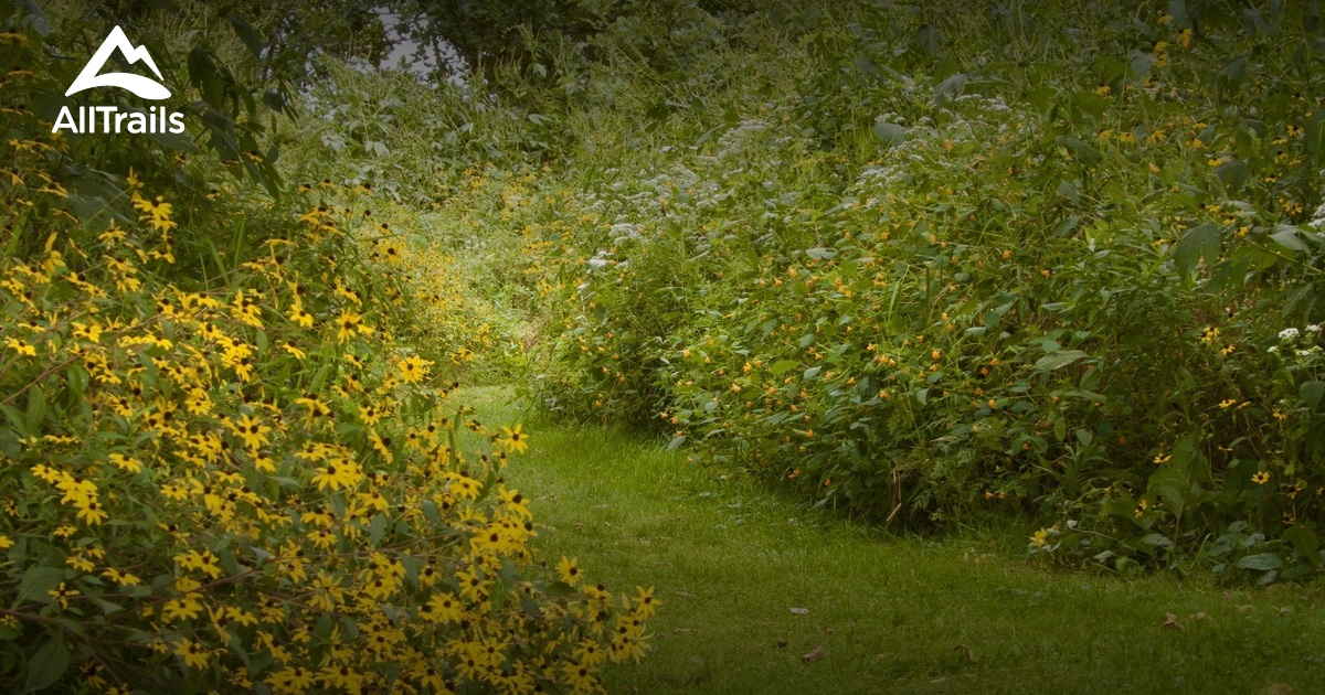 Best hikes and trails in Williams Bay | AllTrails