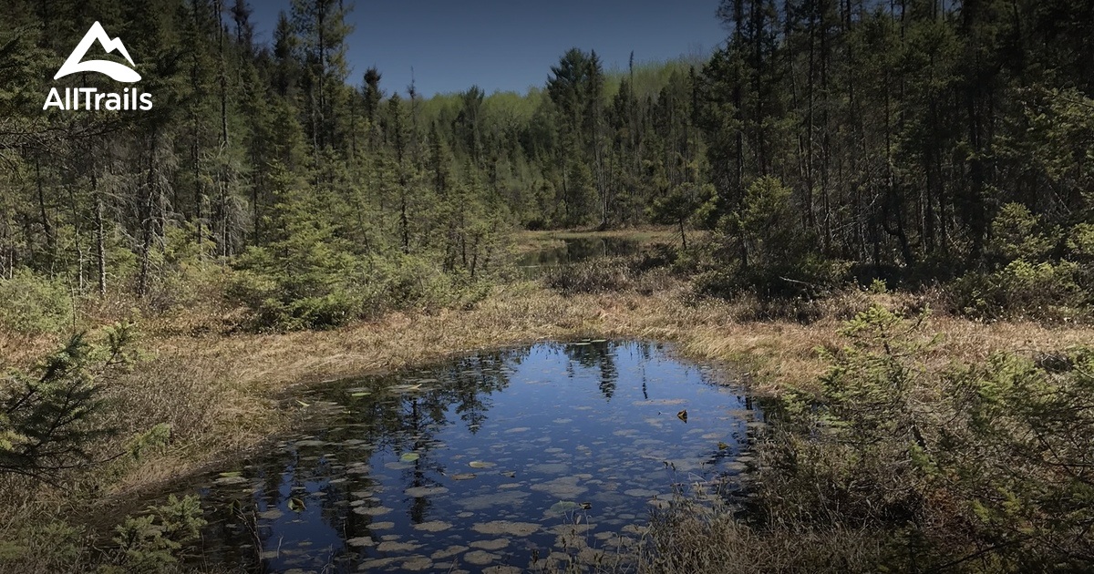Best hikes and trails in Woodruff | AllTrails