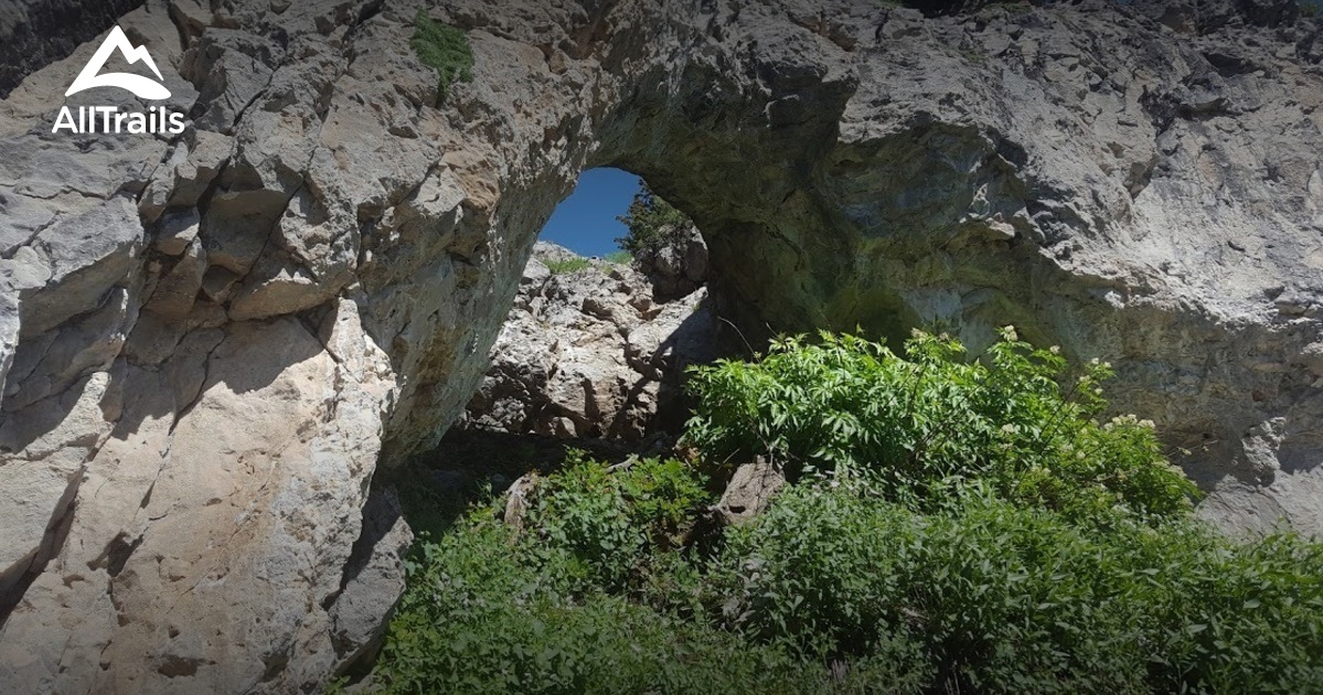 Best hikes and trails in Grover | AllTrails