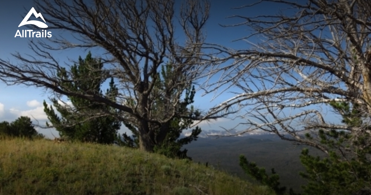 Best Trails near Jelm, Wyoming | AllTrails