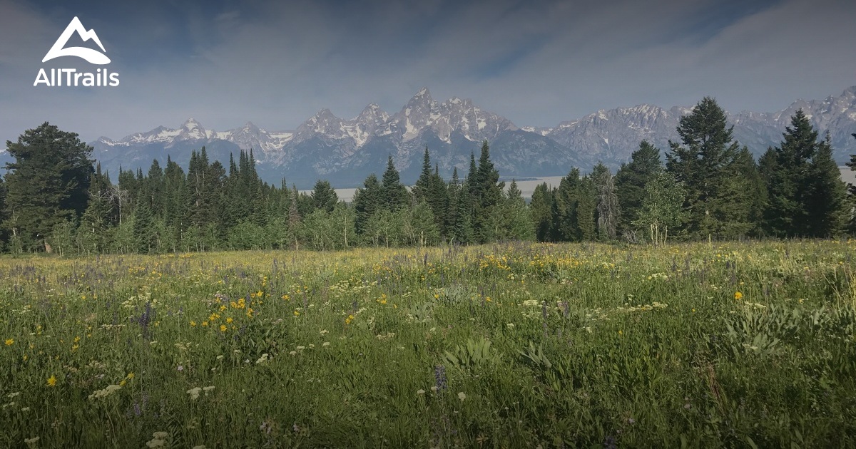 Best Trails near Kelly, Wyoming | AllTrails