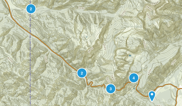 Best Trails near Wilson, Wyoming | AllTrails