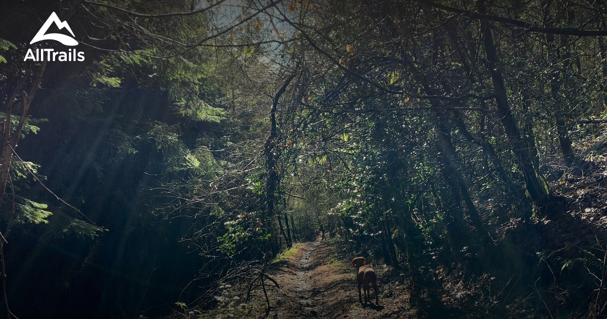 Best long trails in Abertillery | AllTrails