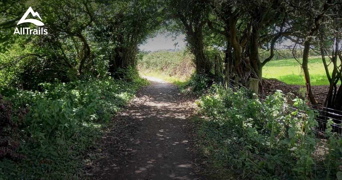 I migliori sentieri per passeggiate in Whitland | AllTrails