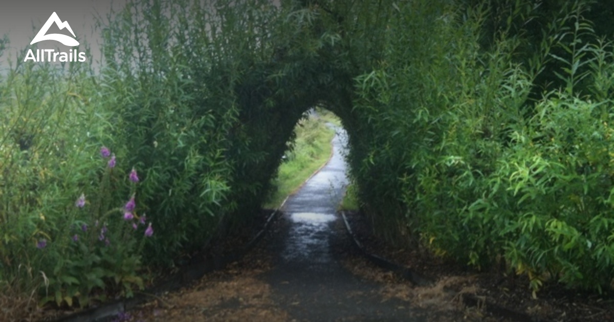 Best dogs on lead trails in Ystrad Meurig | AllTrails