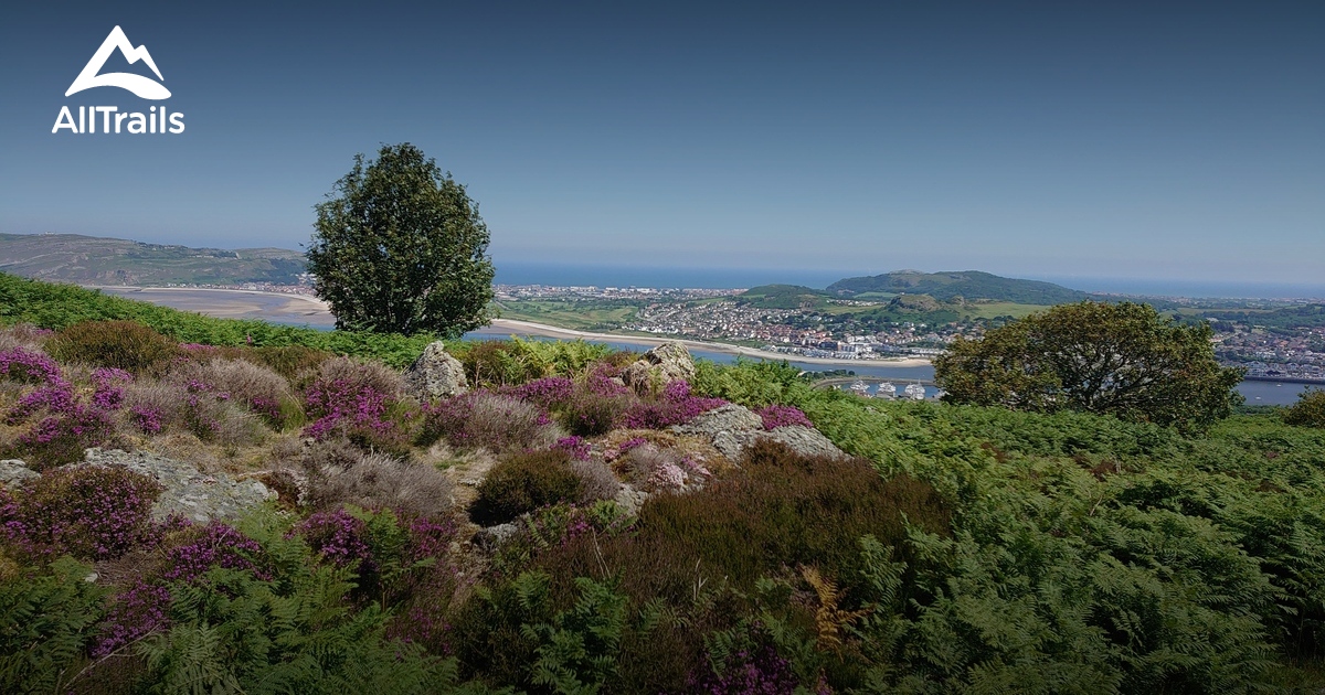 10 Best Trails, Walks, and Paths in Conwy | AllTrails