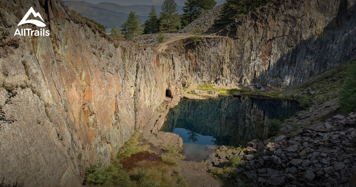 De beste bosroutes in Fairbourne | AllTrails