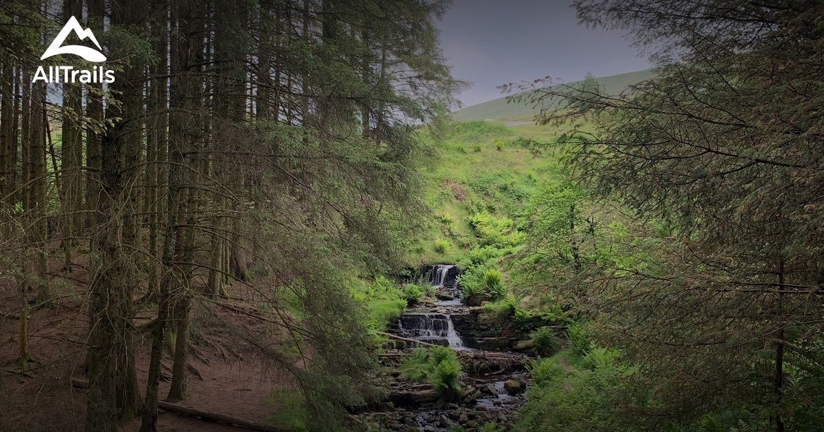 10 Best forest trails in Merthyr Tydfil | AllTrails