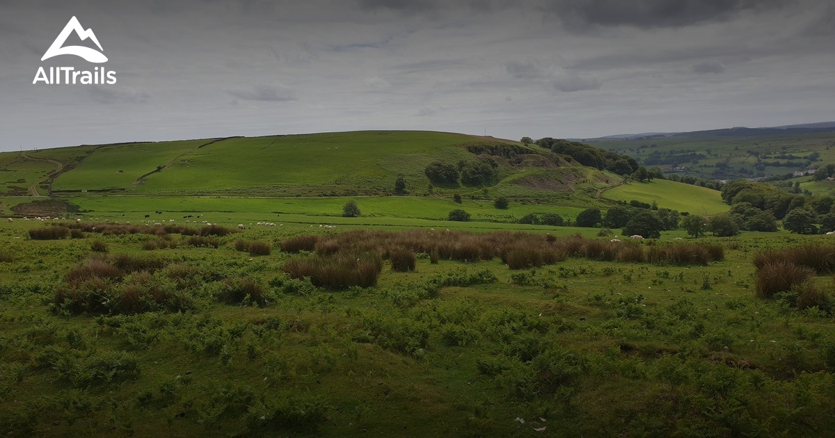 Best hikes and trails in Treharris | AllTrails