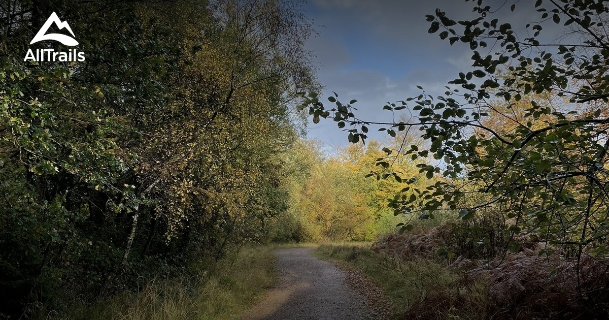 Best Trails, Walks, and Paths in Usk | AllTrails