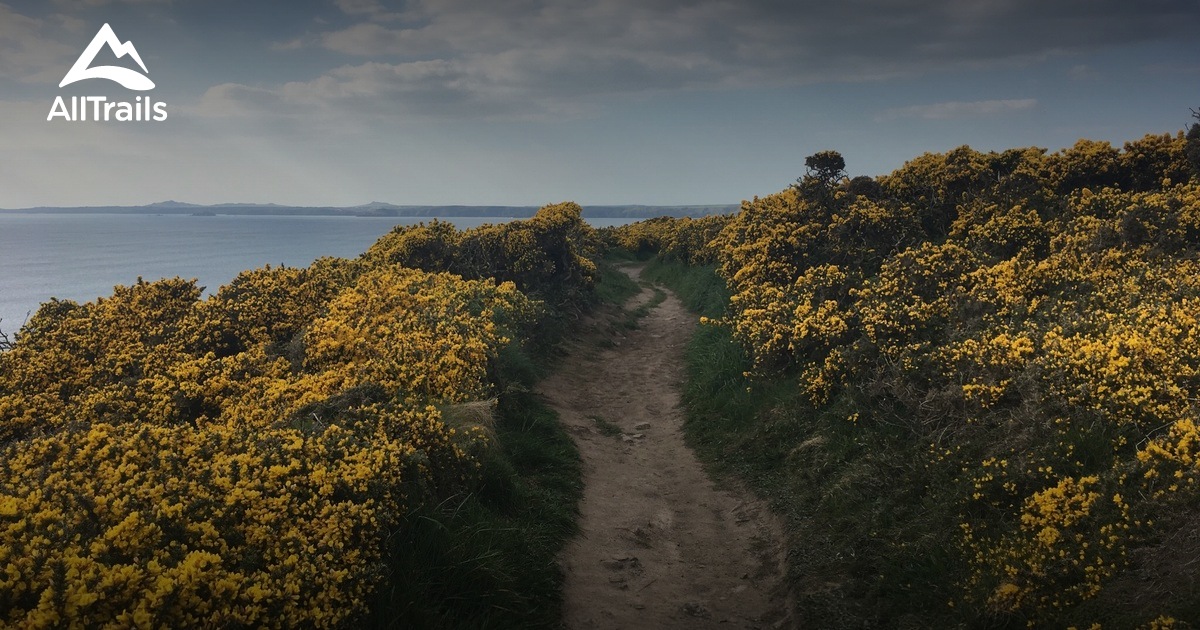 10 Best Trails, Walks, and Paths in Haverfordwest | AllTrails