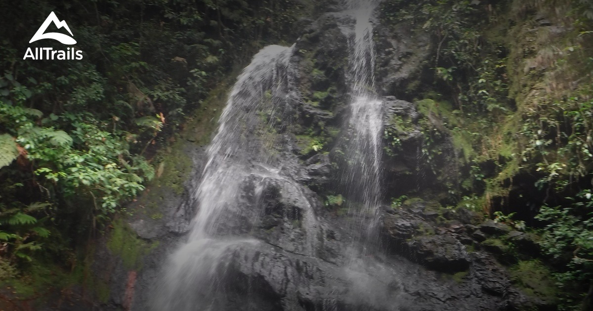 Best 10 Easy Trails in Belize | AllTrails