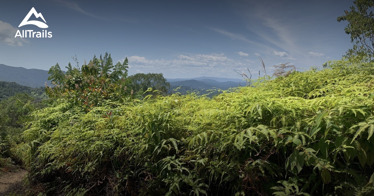 10 Best trails and hikes in Belize | AllTrails