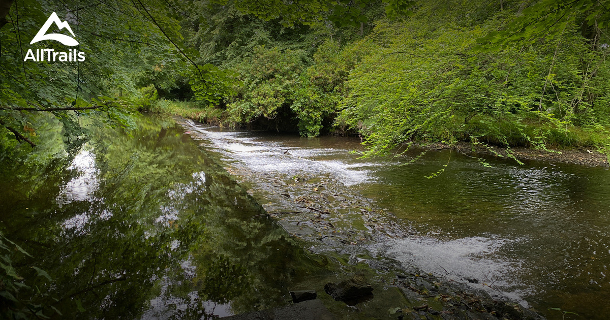 10 Best forest trails in Isle of Man | AllTrails