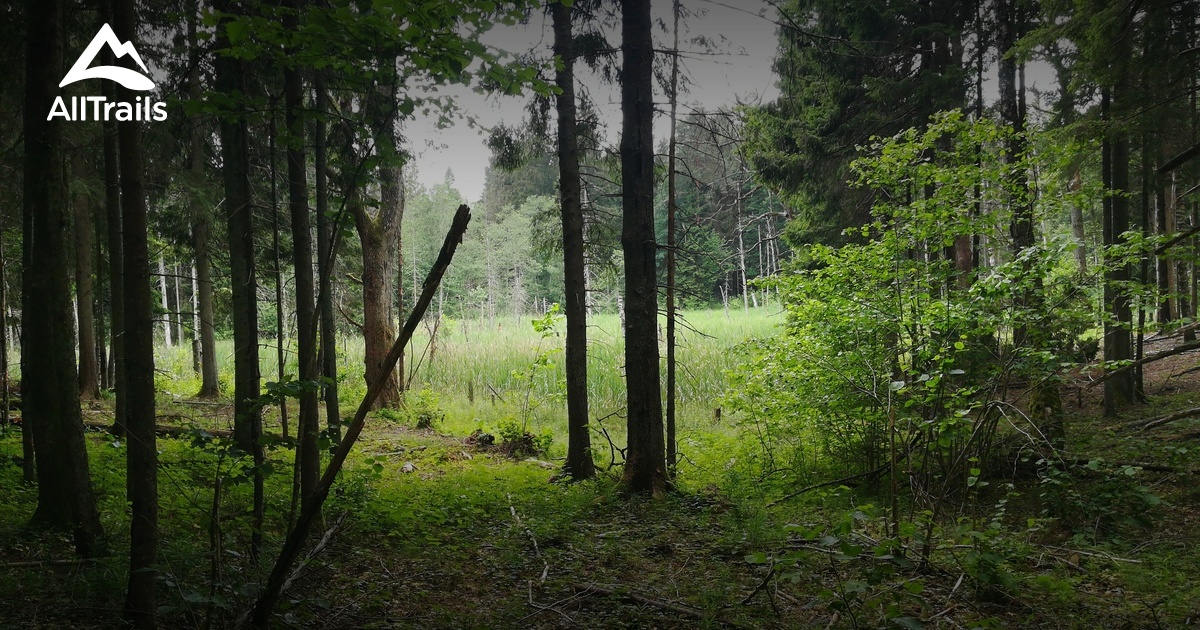 Best Trails in Lithuania | AllTrails