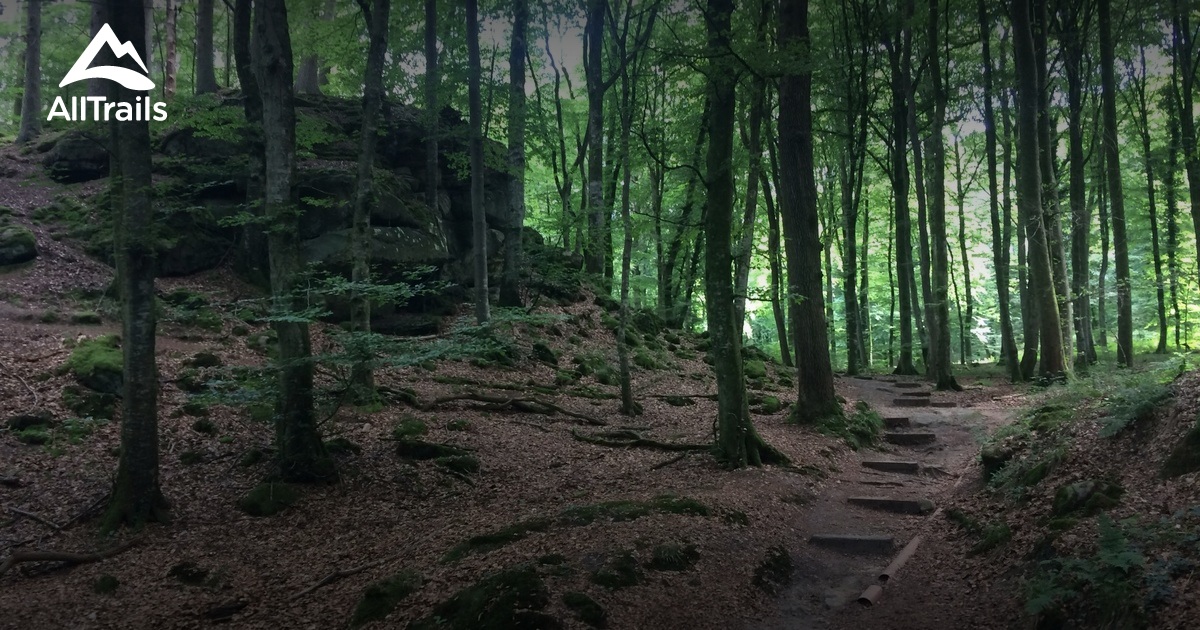 Best Trails in Luxembourg | AllTrails