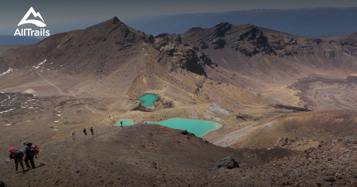 Best Trails in New Zealand | AllTrails