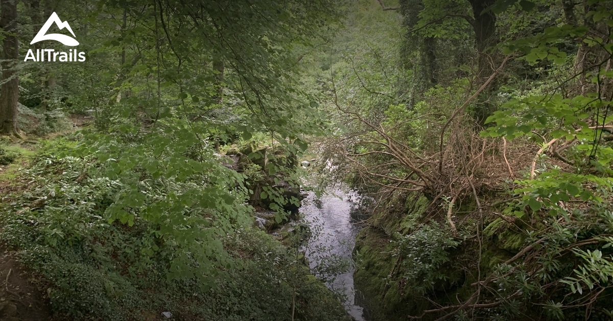 10 Best Trails, Walks, and Paths in Northern Ireland | AllTrails