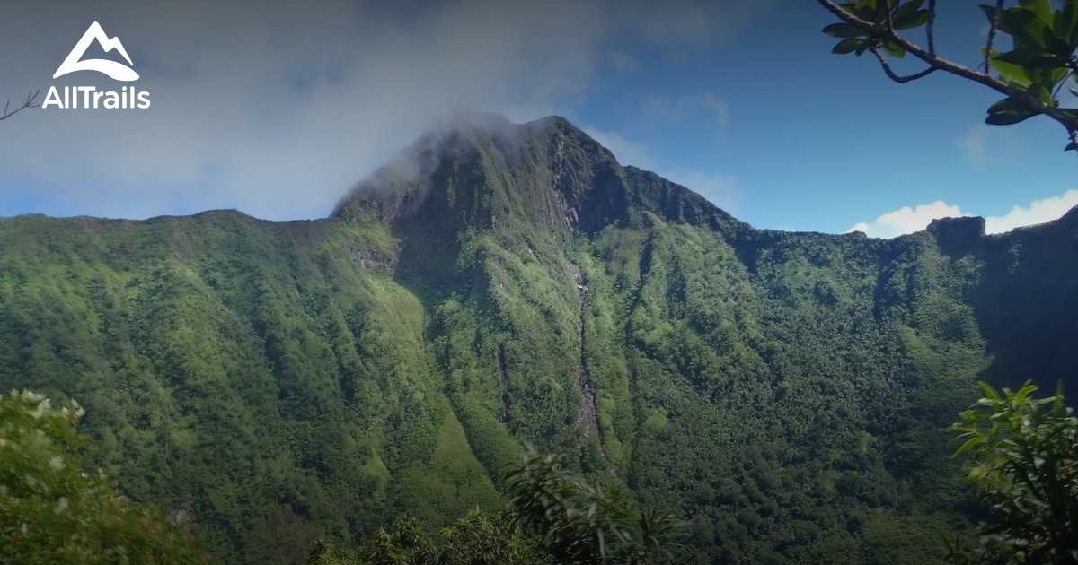 10 Best trails and hikes in Saint Kitts and Nevis | AllTrails