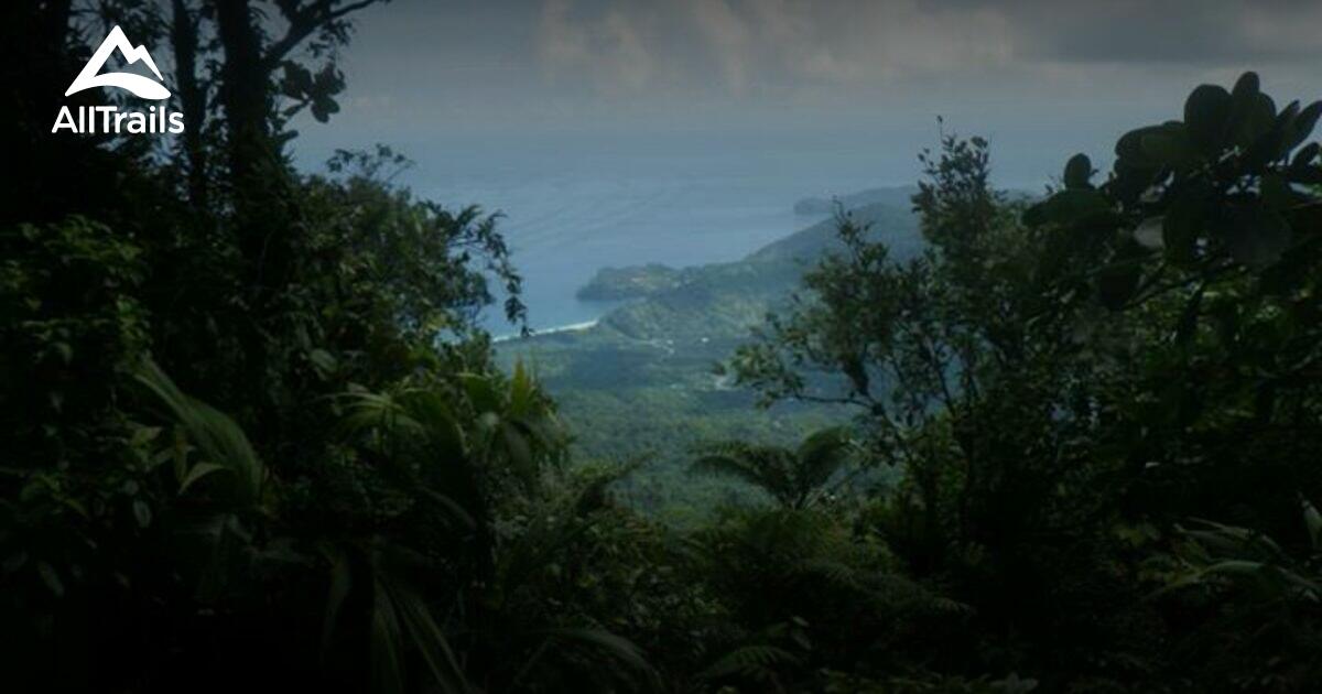 10 Best trails and hikes in Trinidad and Tobago | AllTrails