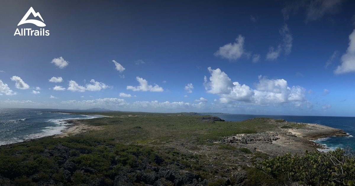 Best hikes and trails in Island Harbour | AllTrails
