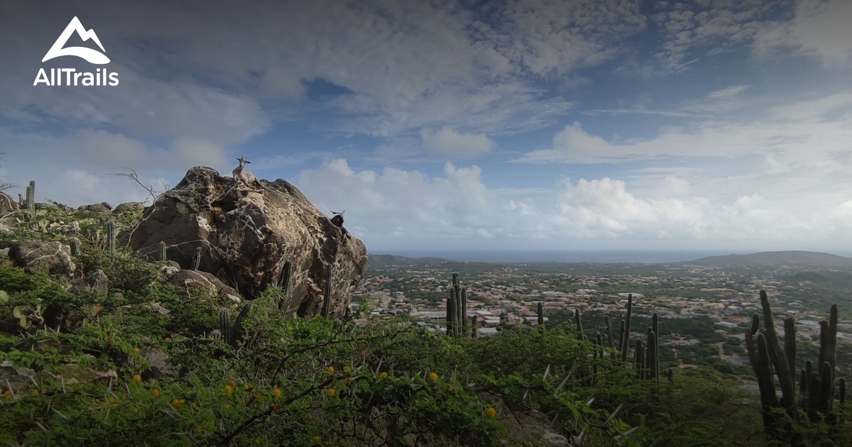 10 Best trails and hikes in Aruba | AllTrails