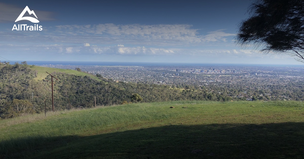 10 Best dog-friendly trails in South Australia | AllTrails