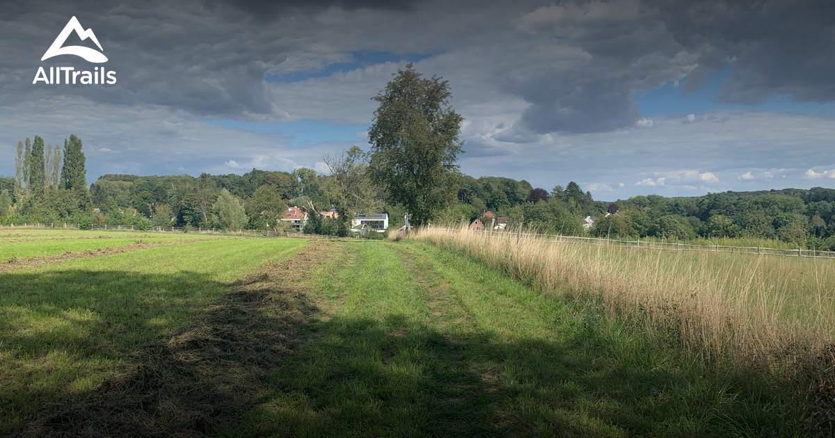 De 10 beste wandelroutes om te wandelen in Waals-Brabant | AllTrails