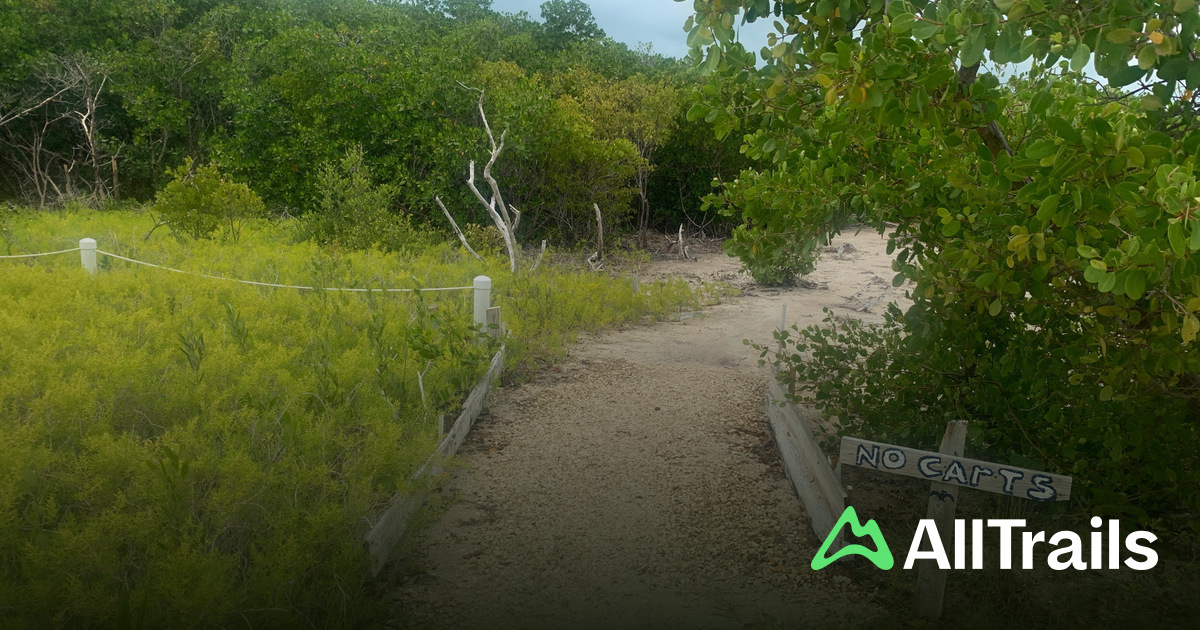 Best trail running trails in Belize | AllTrails
