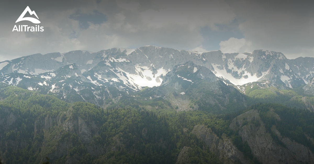 Best wildflower trails in Foča | AllTrails