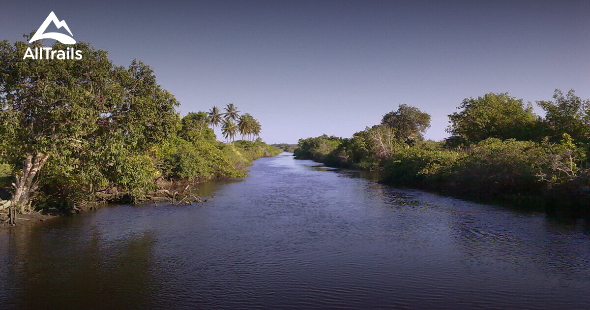 Rio Grande do Norte: as melhores trilhas para acampamento | AllTrails