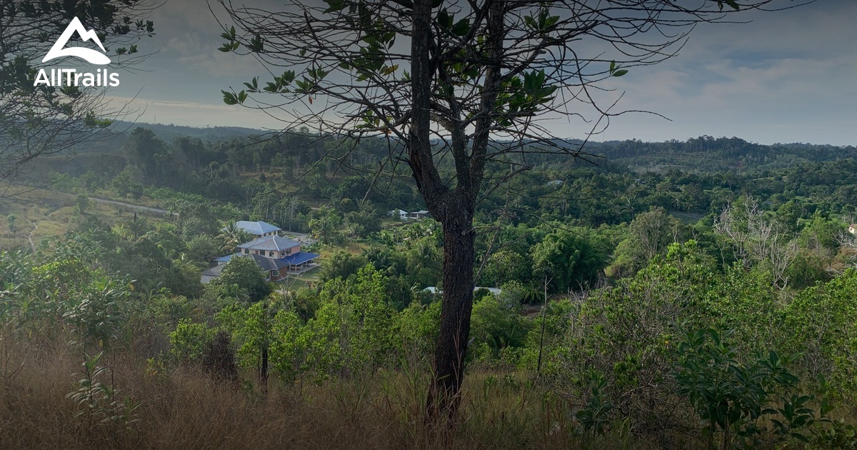 10 Best trails and hikes in Belait | AllTrails