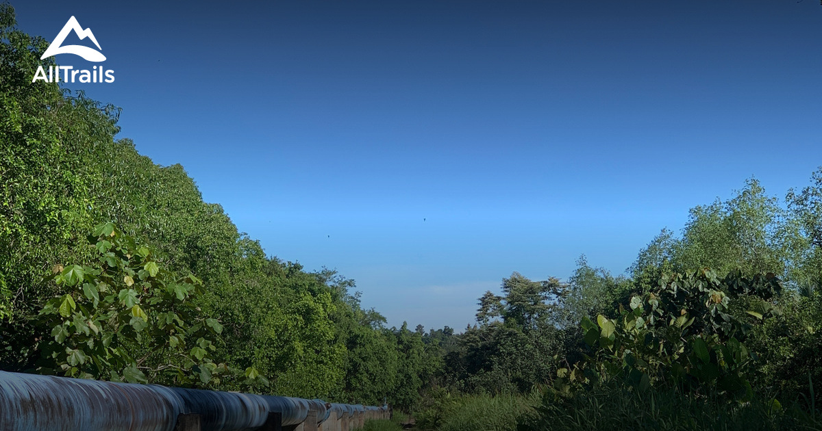 Best hikes and trails in Brunei-Muara | AllTrails