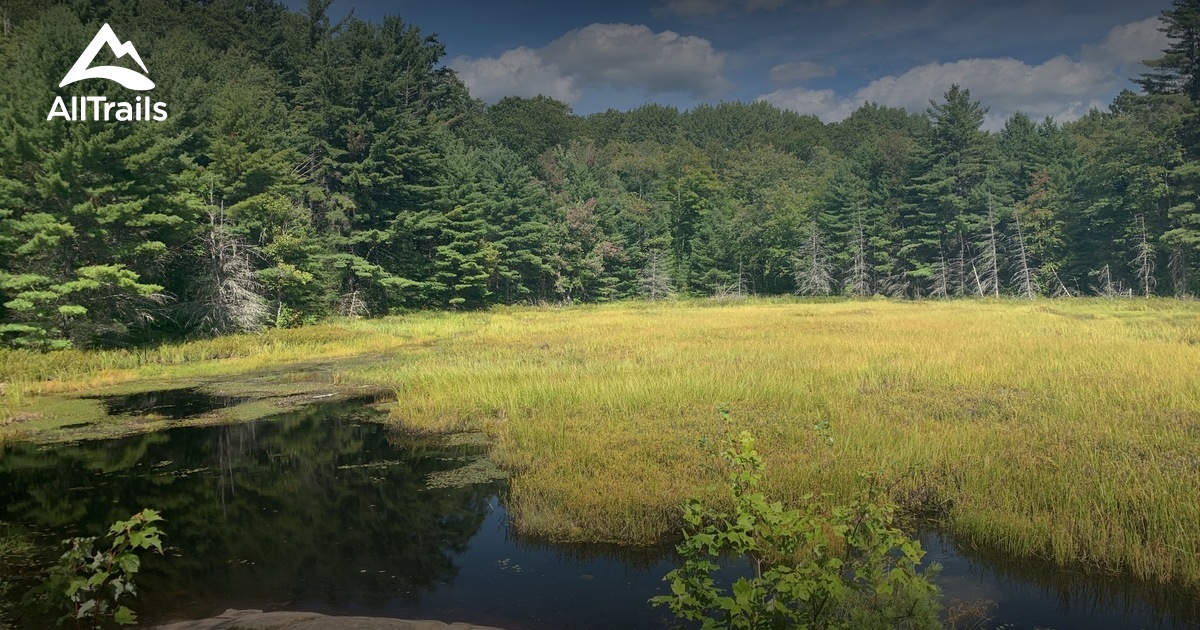 Best Trails in Ontario, Canada | AllTrails