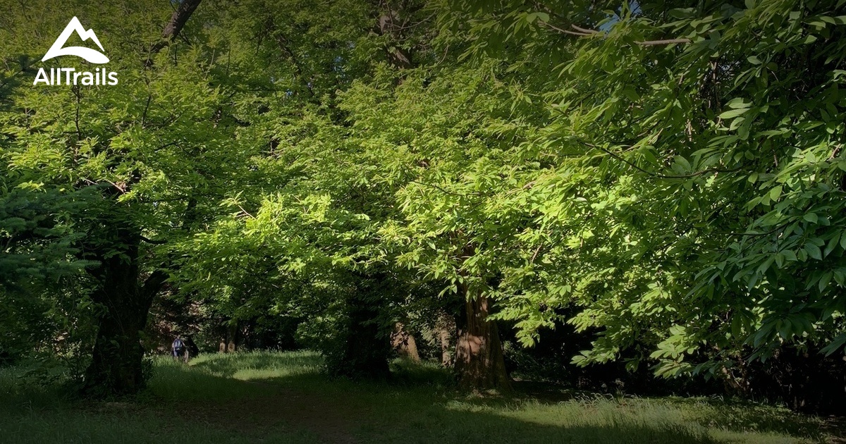 10 Best trails and hikes in Los Ríos | AllTrails