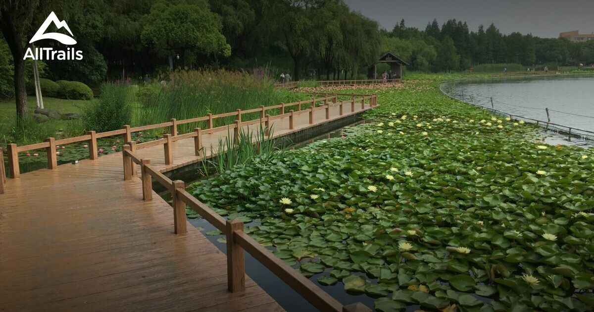 Best city walk trails in Shanghai | AllTrails