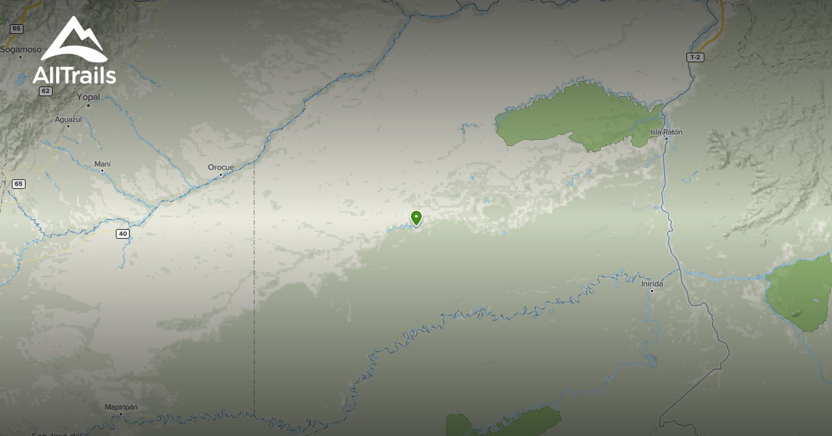 Best hikes and trails in Vichada | AllTrails