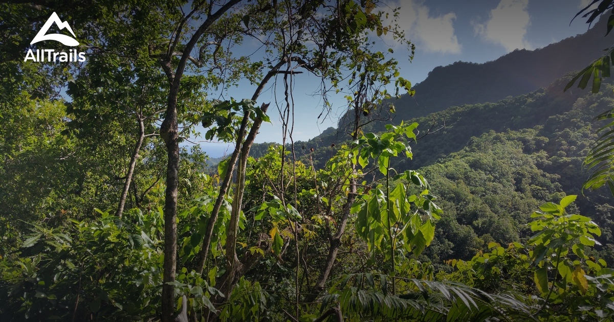 Best Trails in Rarotonga, Cook Islands | AllTrails