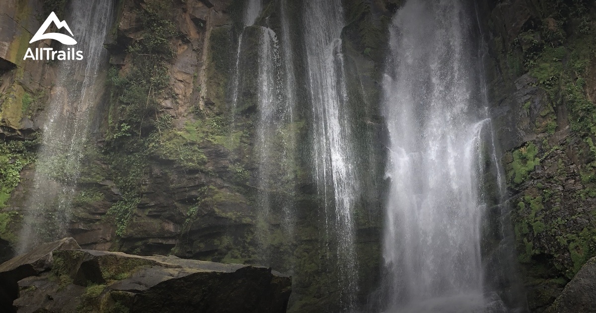 10 Best trails and hikes in Limón | AllTrails